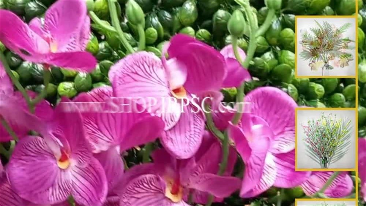 خرید بوته گل مصنوعی ارکیده| فروشگاه ملی - نماشا