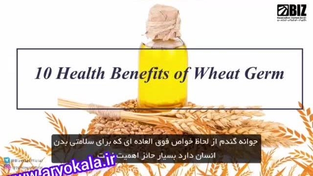 پودر جوانه گندم دکتر بیز نماشا